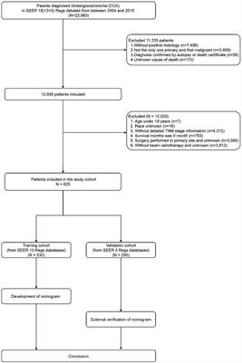 Frontiers | Development and validation of a nomogram to predict cancer-specific survival with ...